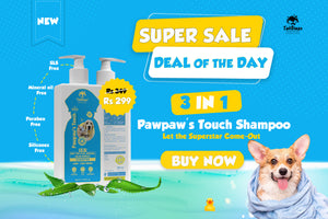 TailBlaze - 100% Organic and Raw Dog Food